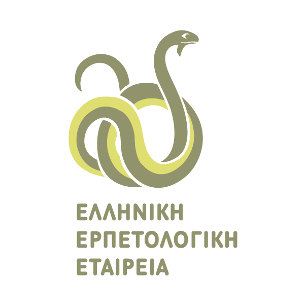 Υποστήριξη – SOSτε ΤΟ ΜΕΓΑΛΟ ΡΕΜΑ